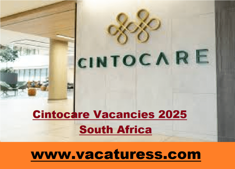 x5 Cintocare Vacancies 2024/2025 Opportunities @www.cintocare.com ...
